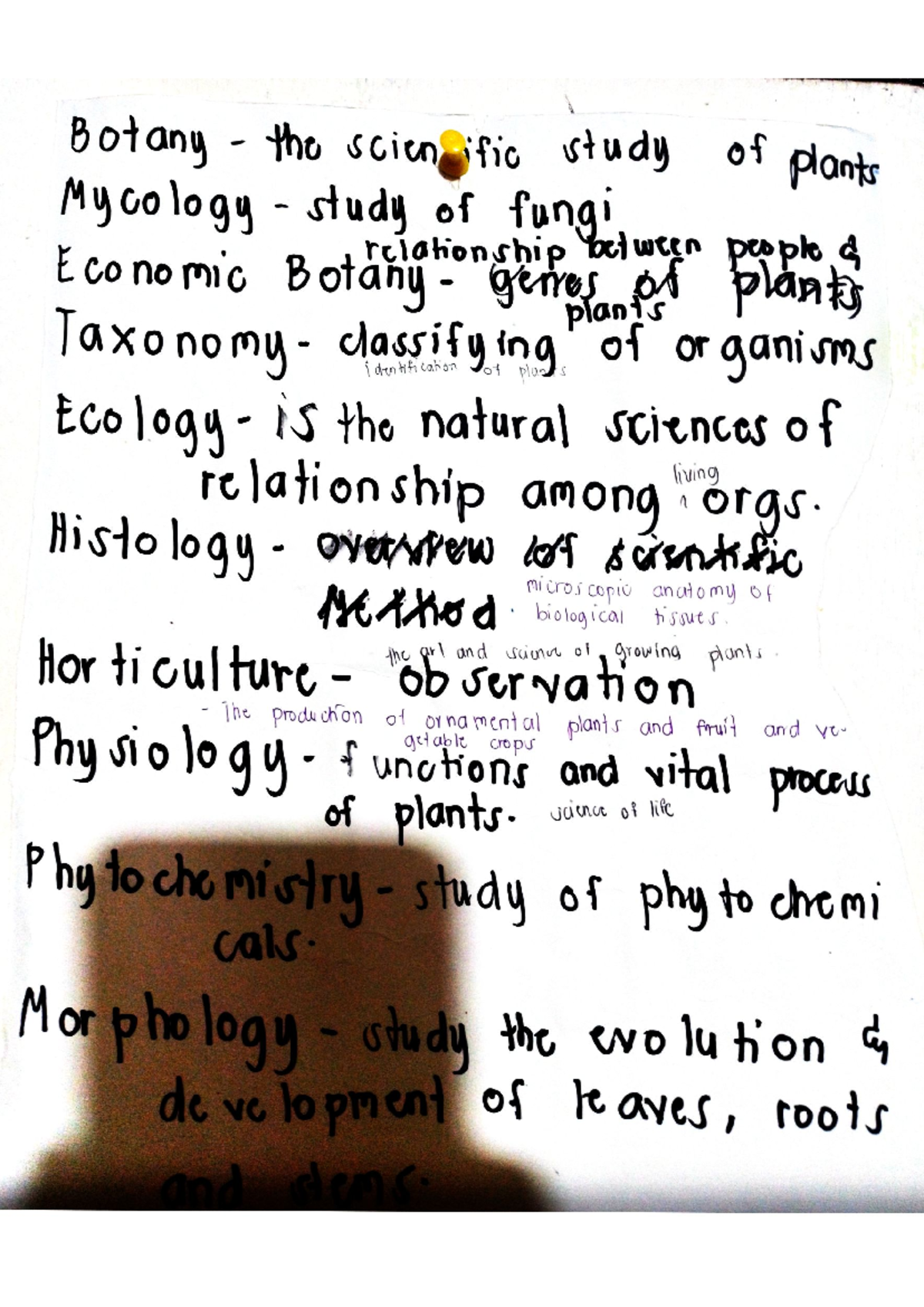 Botany Overview: Key Concepts in Plant Science and Mycology - Studocu