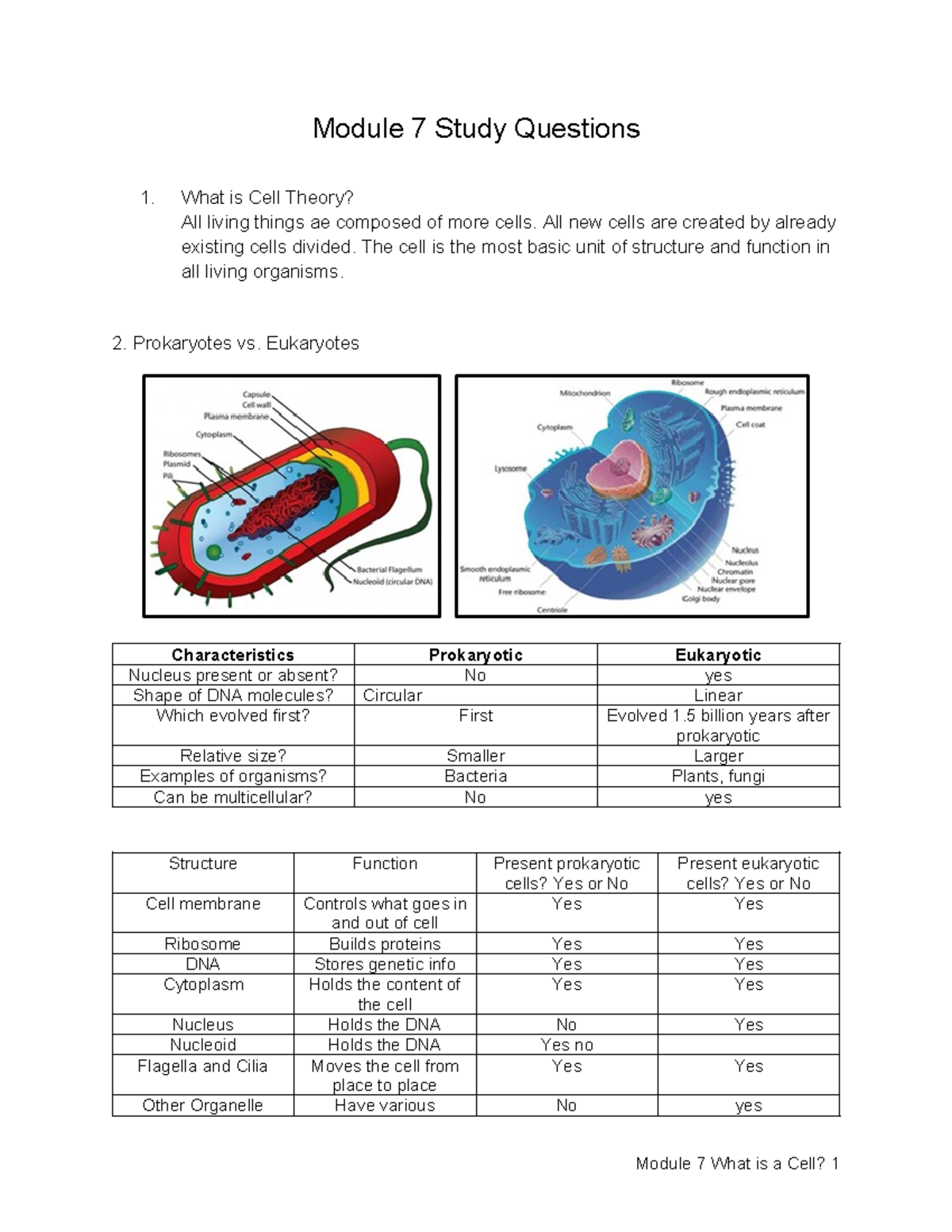 Module 7 Study Questions - Module 7 Study Questions 1. What is Cell ...