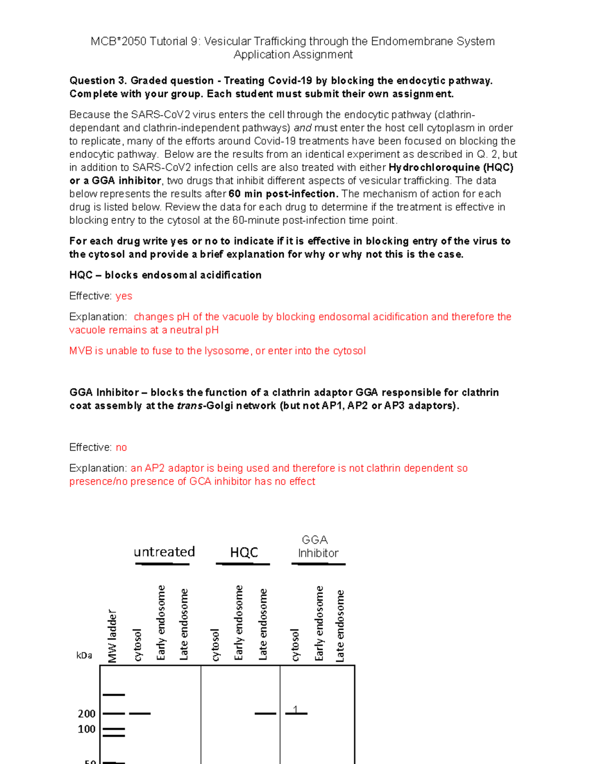 Seminar 9 Graded Question - MCB*2050 Tutorial 9: Vesicular Trafficking ...