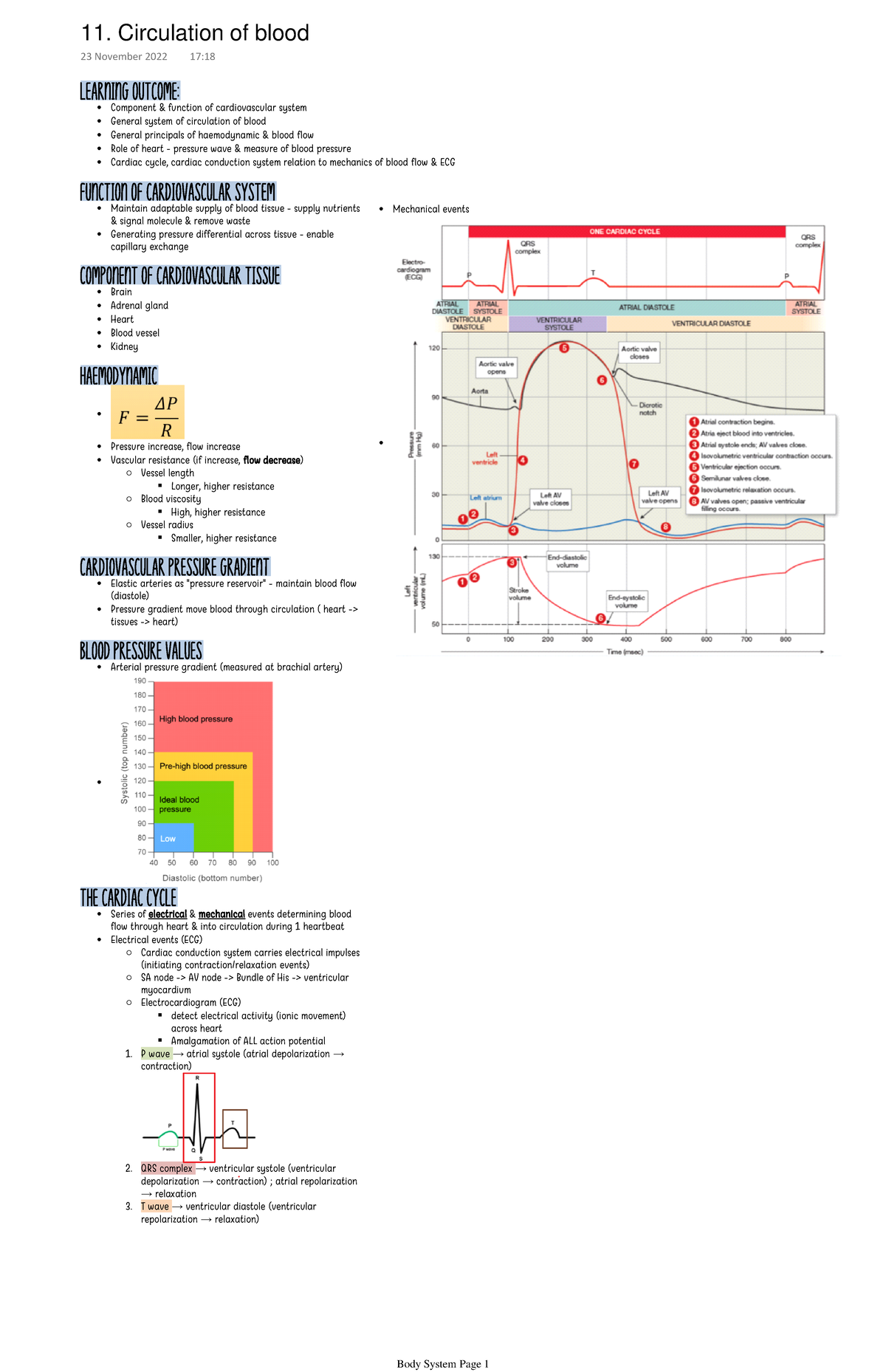 Cardiovascular System: Blood Circulation & Haemodynamics Overview - Studocu