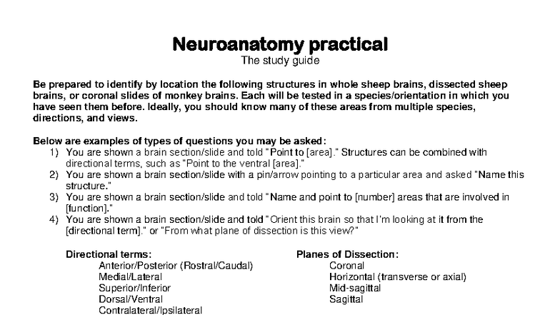Neuroanatomy Practical Study Guide: Identifying Brain Structures - Studocu