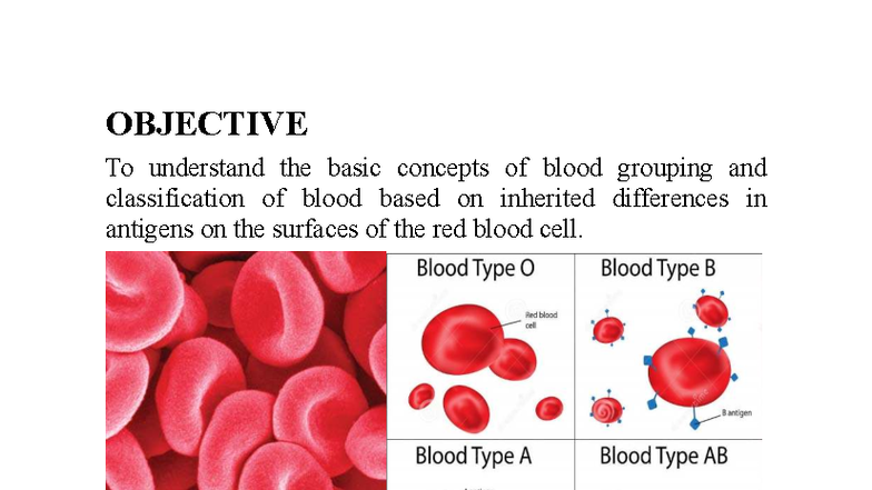 ABO Blood Grouping: Understanding Blood Classification and Antigens ...