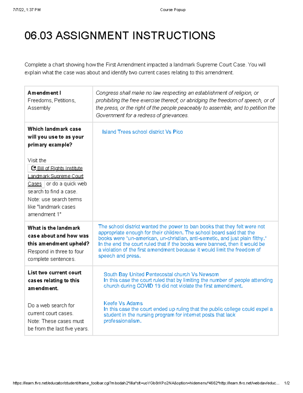 6.03 English Assignment: First Amendment & Landmark Cases Analysis ...