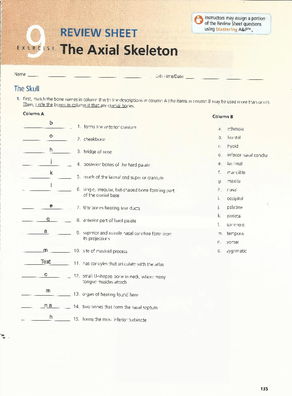 AP - Lab Ex. 06 review sheet chapter 6 classification of tissues - bio ...