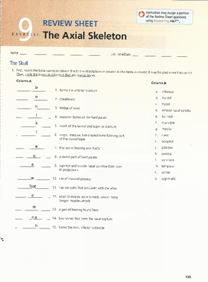 AP - Lab Ex. 08 review sheet chapter 8 Overview of the Skeleton: Classification and Name ...