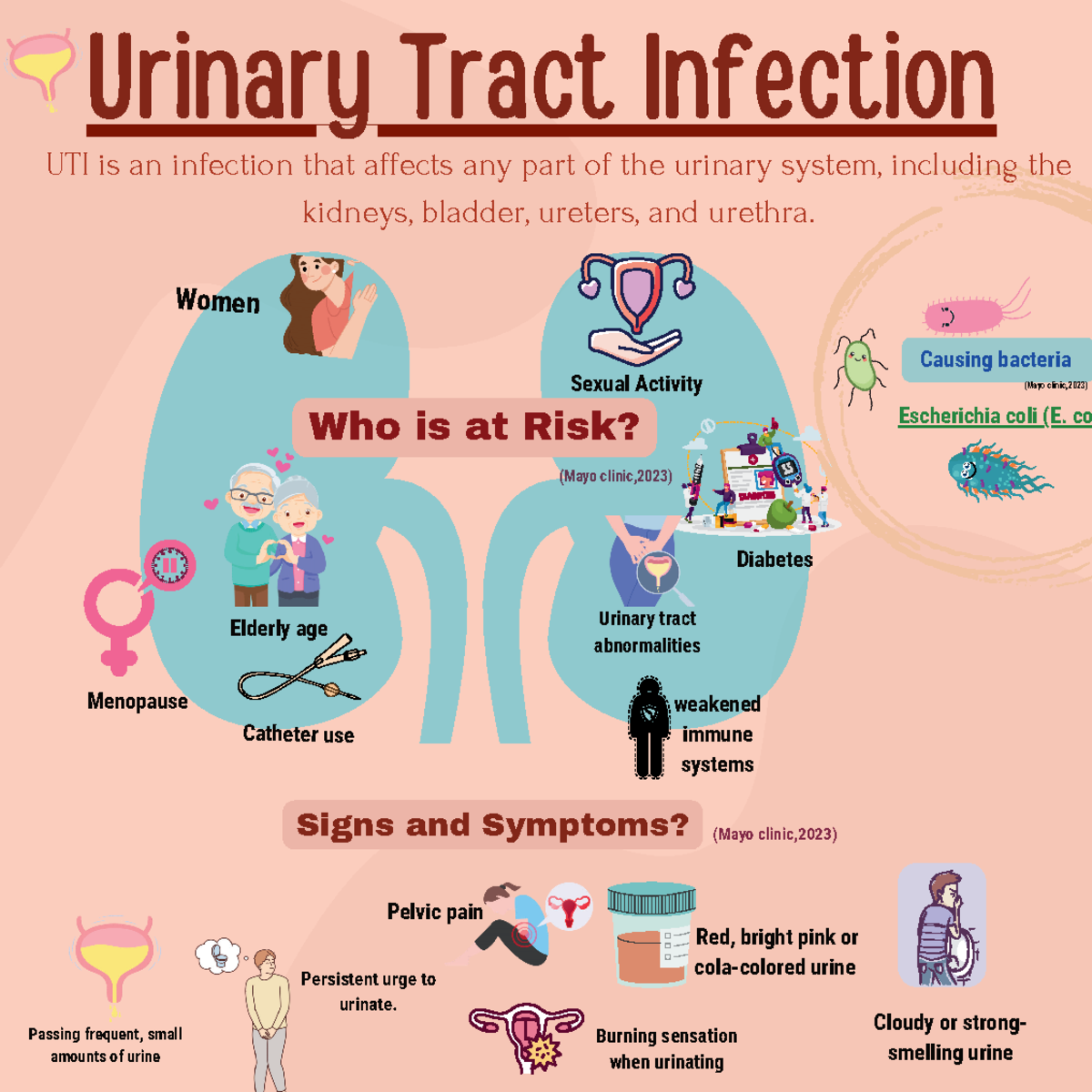 UTI Infographic: Understanding Risk Factors and Symptoms - Studocu