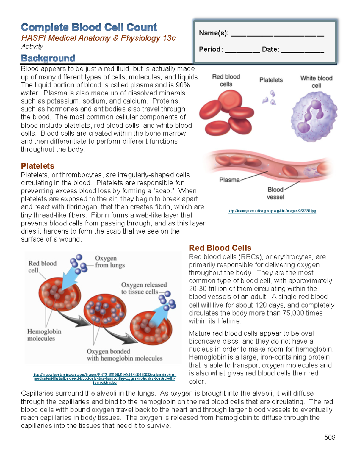 HASPI Medical Anatomy & Physiology 13c: CBC Count and Analysis - Studocu