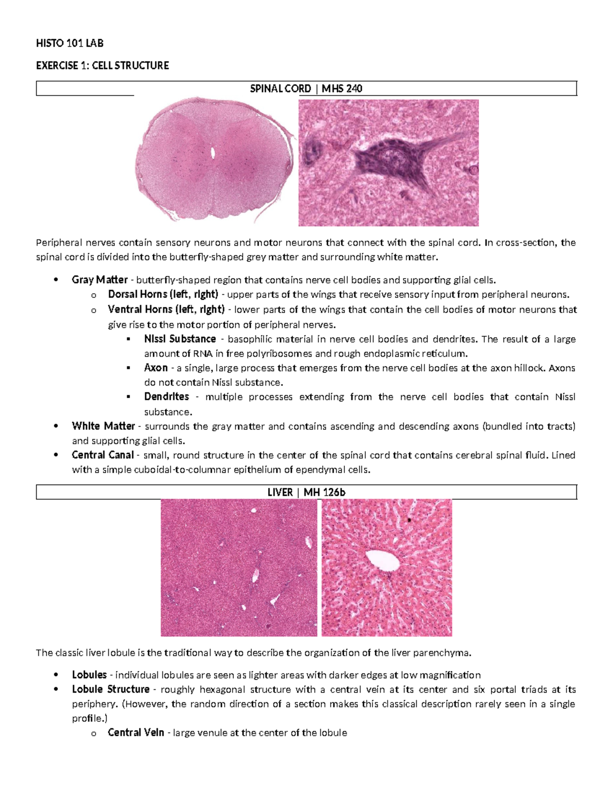 HISTO 101 LAB EXERCISES: CELL STRUCTURE & EPITHELIAL TISSUES - Studocu