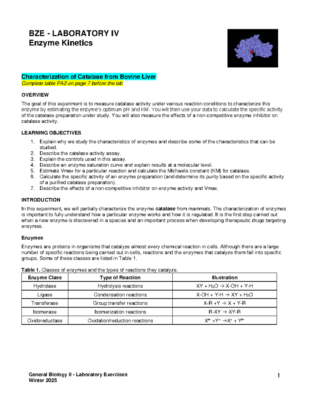 Lab 4: Enzyme Kinetics of Bovine Liver Catalase - General Biology II ...
