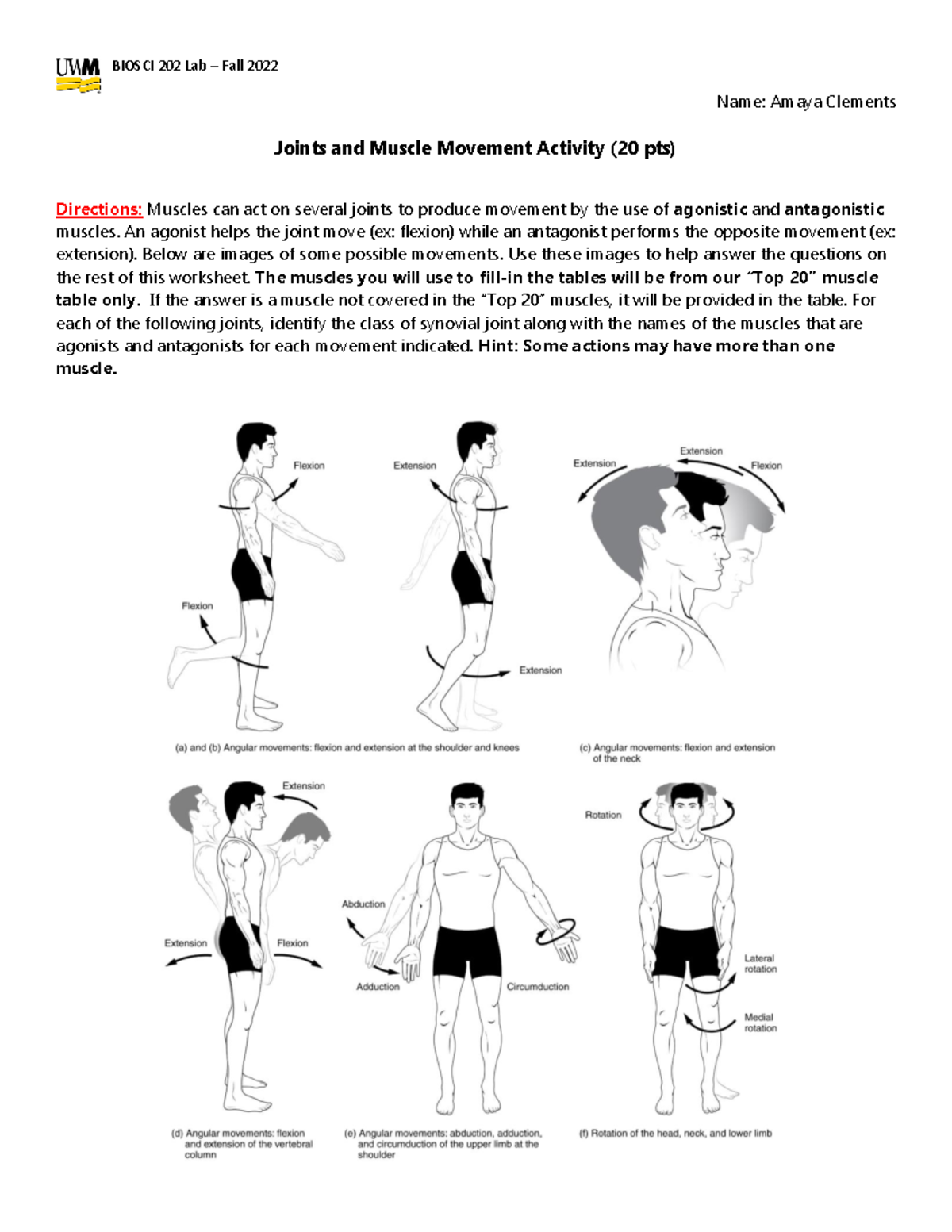 BIOSCI 202 Lab: Joints & Muscle Movement Activity - Fall 2022 - Studocu