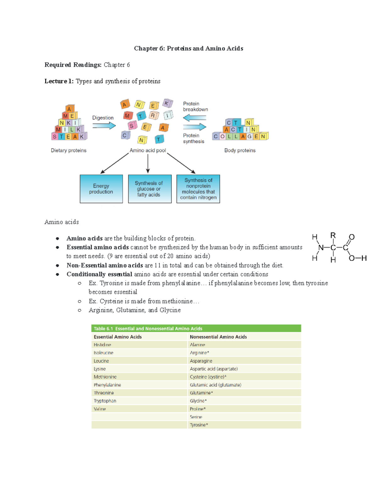 NUTR 100 Chapter 6: Key Concepts on Proteins & Amino Acids - Studocu