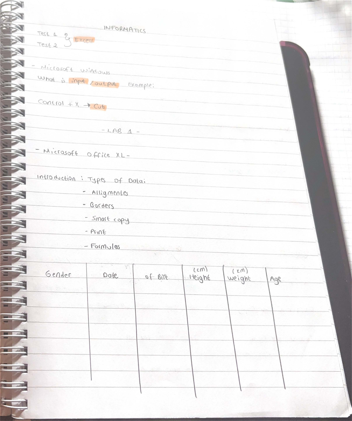 INFORMATICS Test 1: Microsoft Office Excel Basics and Functions - Studocu