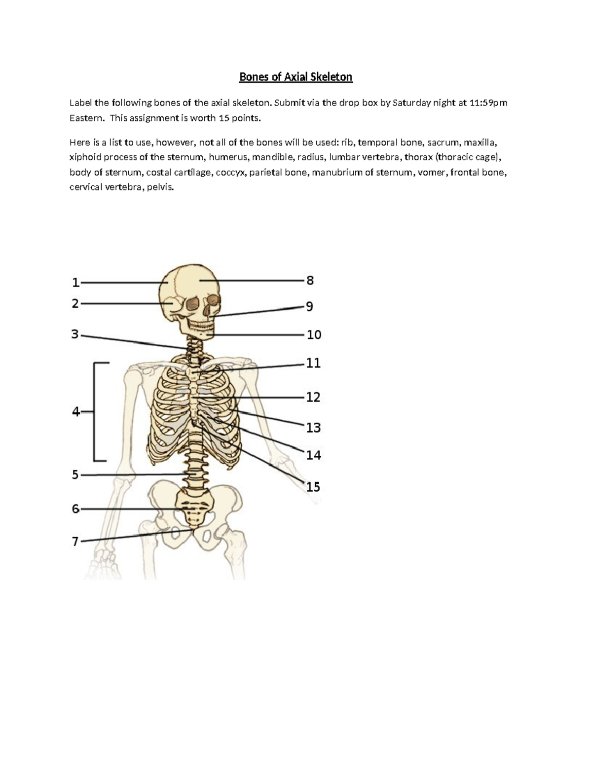 BIO 201 - Label bones of Axial Skeleton - Week 2 (7)-2 - Bones of Axial ...