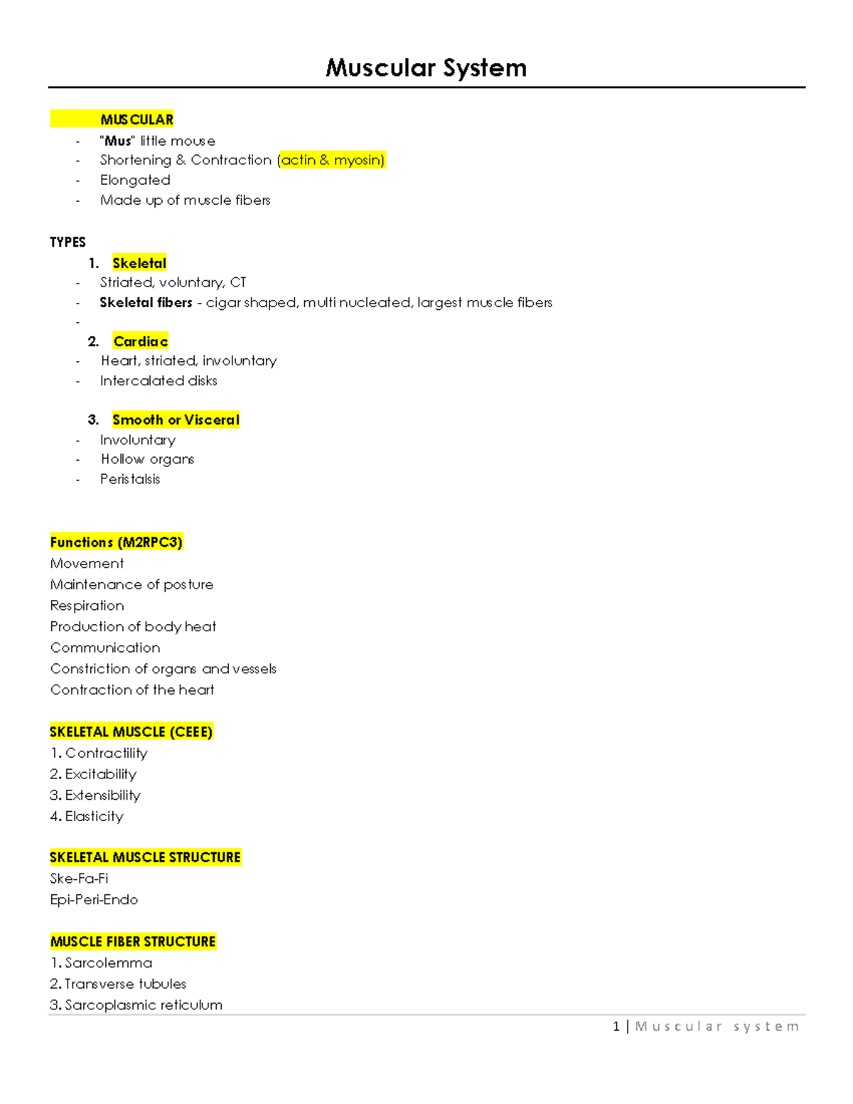 Muscular System Lecture Notes - Seeley's Anatomy & Physiology - Studocu