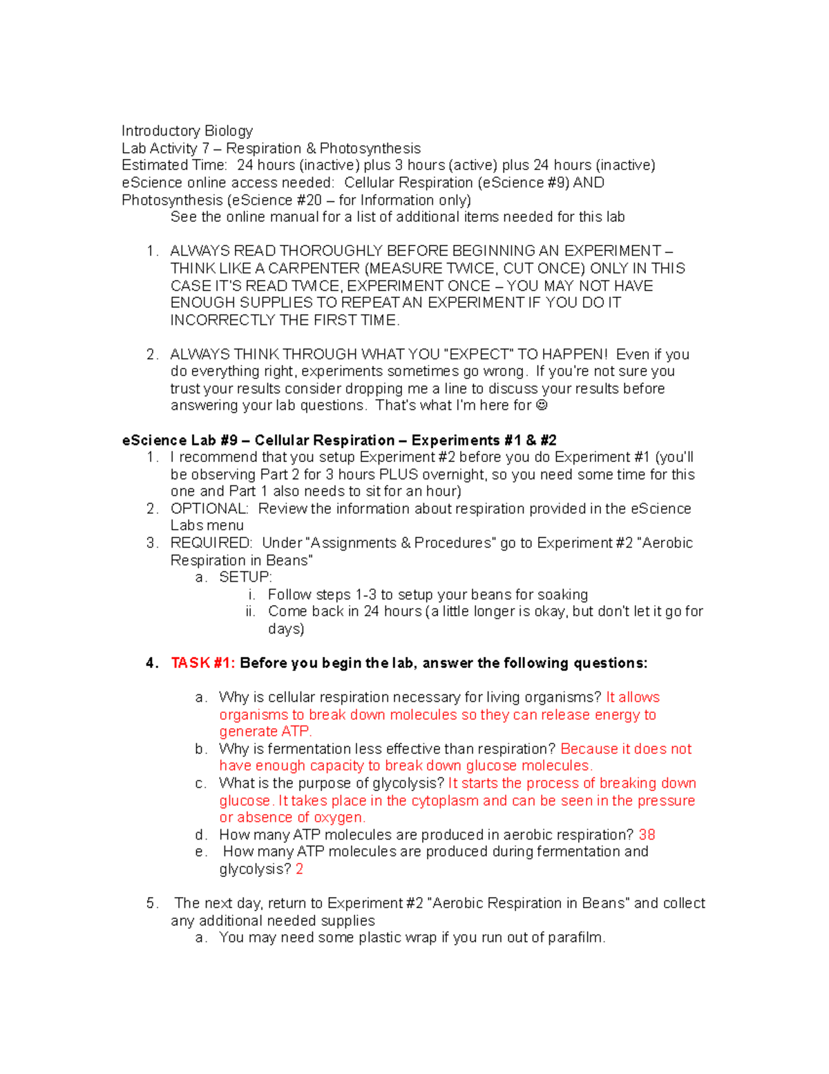 IB LAB 07 RESP - Respiration lab with all the ridiculous beans ...