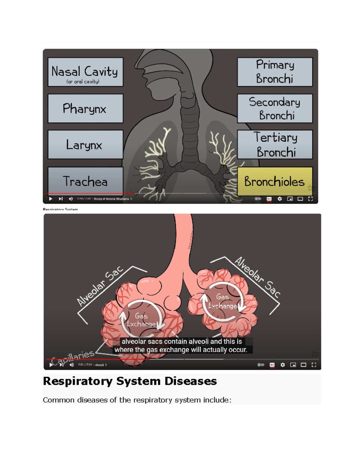 Respiratory System Diseases: Overview and Common Conditions - Studocu