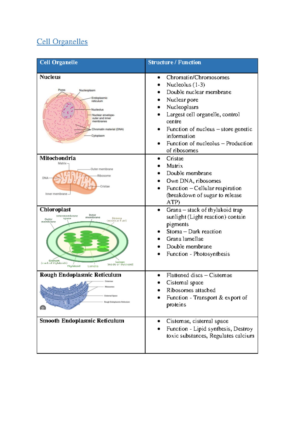 Cell Organelles Notes - Cell unit 1 - Cell Organelles Cell Organelle ...