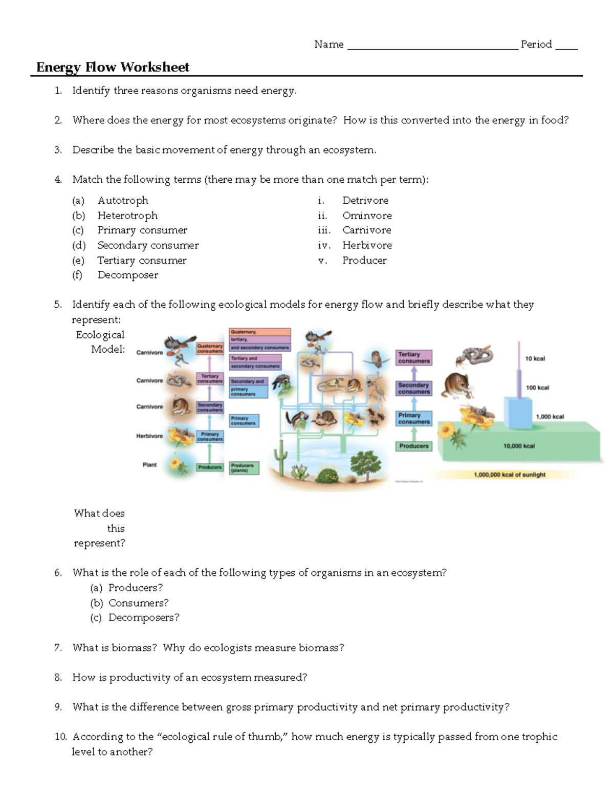 Energy Flow Worksheet: Ecosystem Dynamics & Trophic Levels Analysis ...