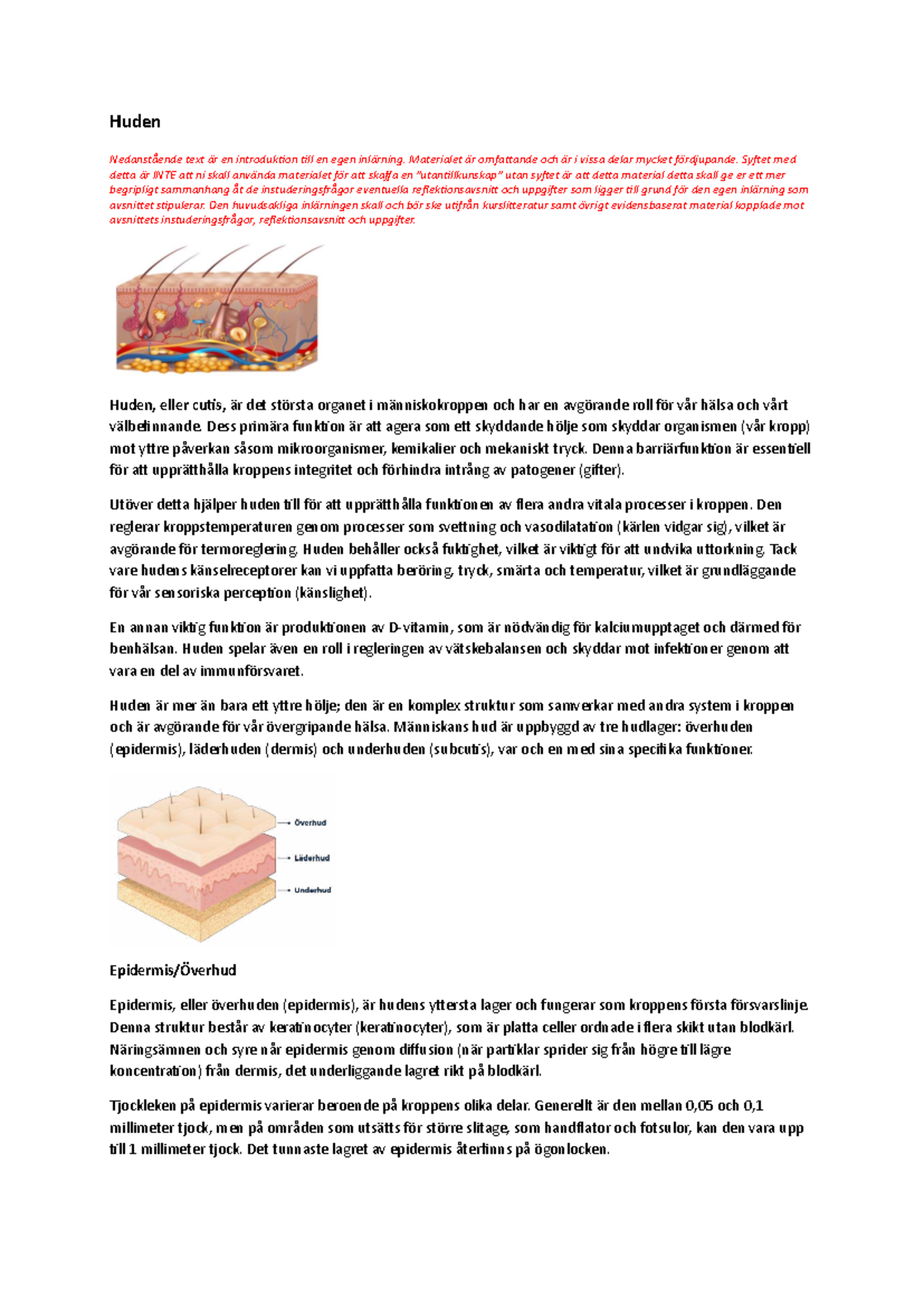 Huden - Huden Nedanstående text är en introduktion till en egen ...