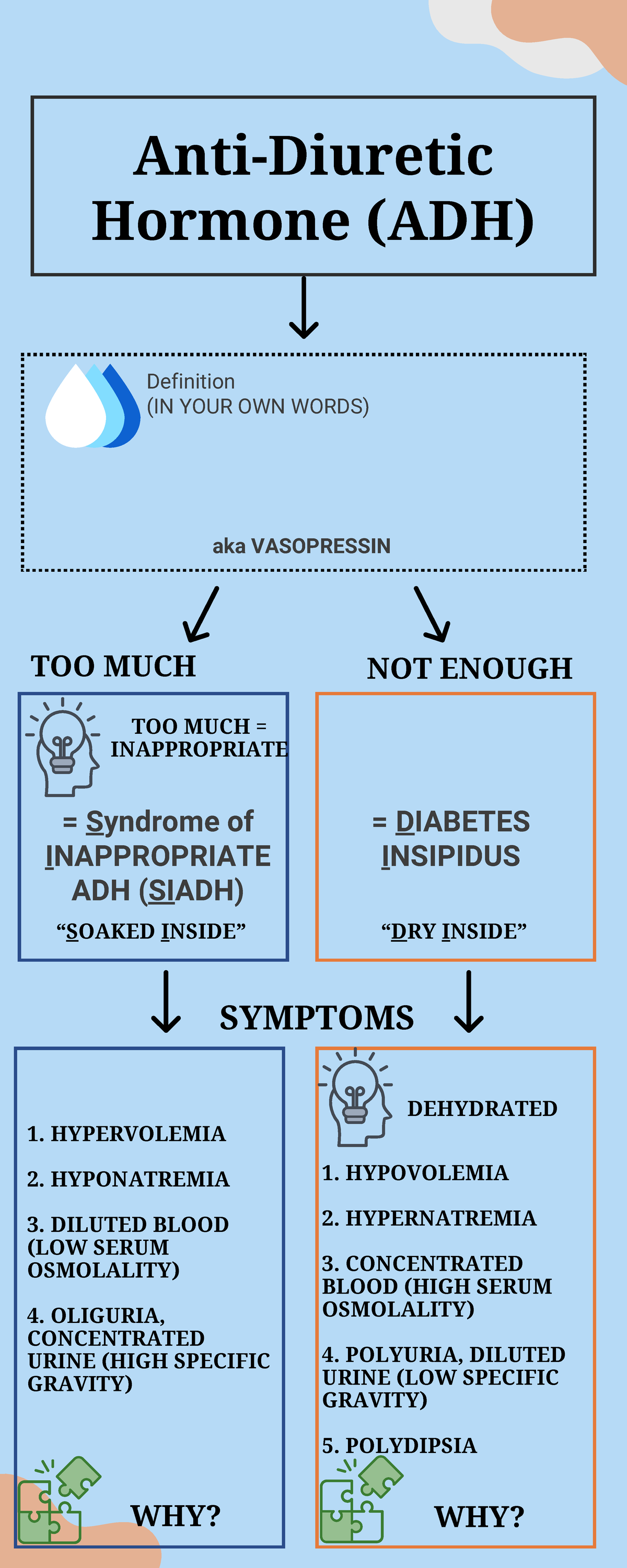 Anti-Diuretic Hormone (ADH) - Anti-Diuretic Hormone (ADH) SYMPTOMS TOO ...
