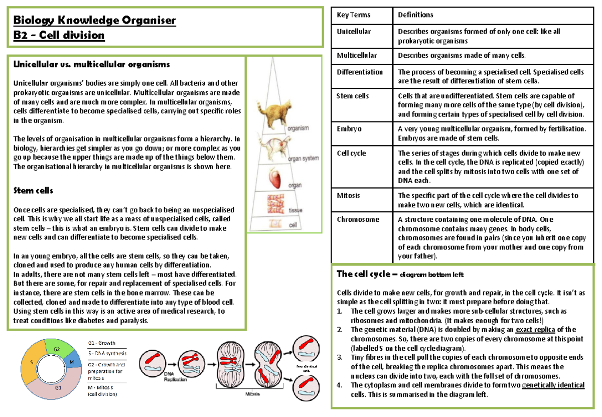 B2 - Cell Division Overview and Key Concepts for Biology - Studocu