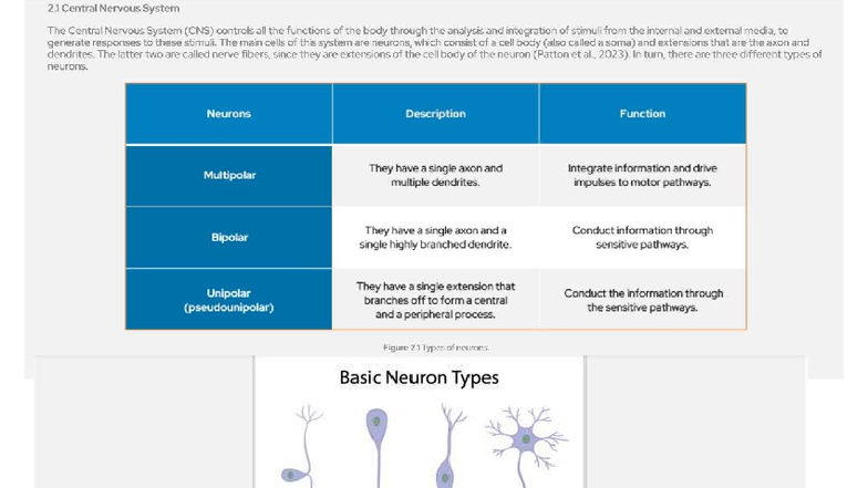 Topic 2: Human Body Care - Central Nervous System Overview - Studocu