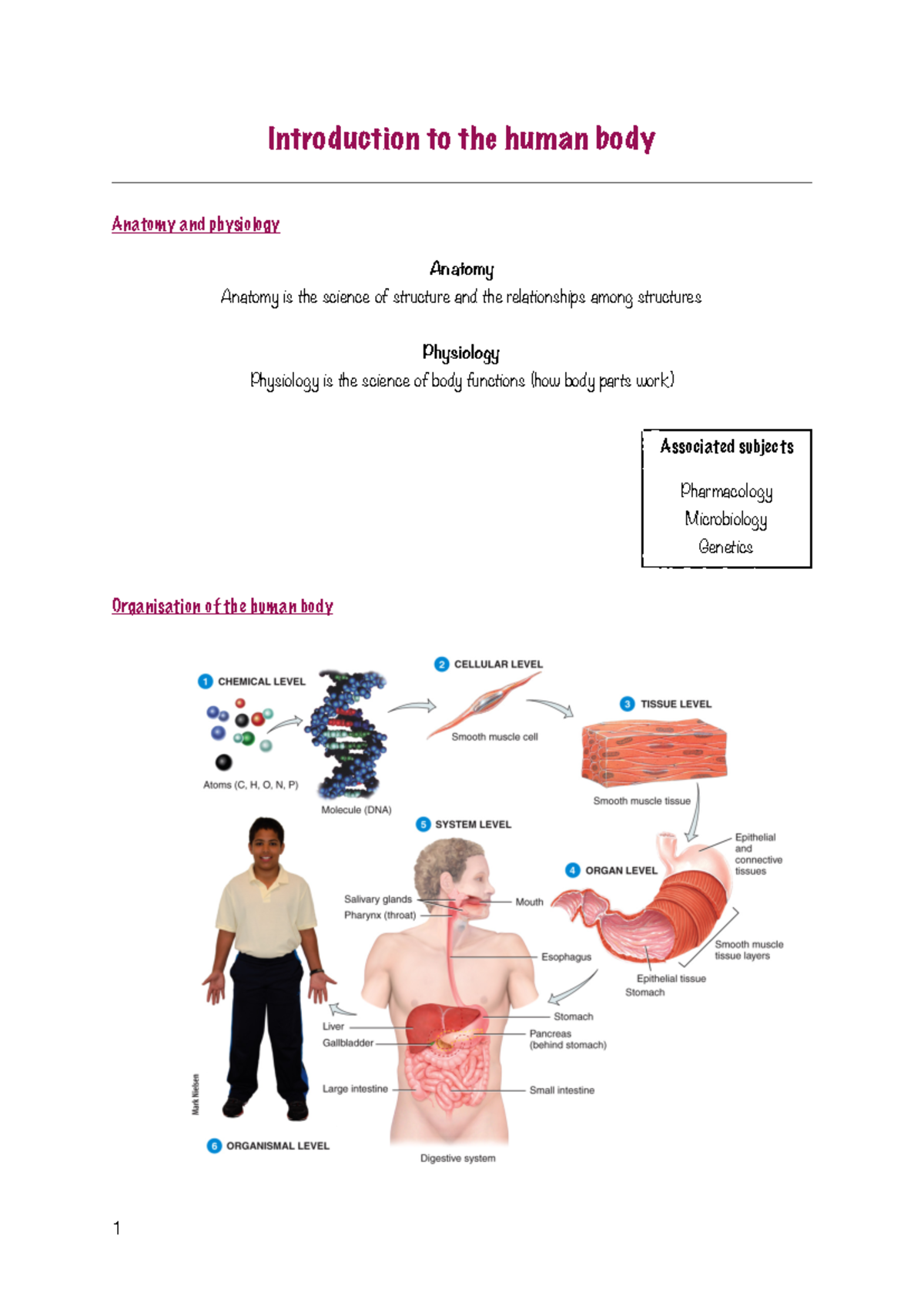 Introduction to Human Body (ANAT101): Structure & Functions Overview ...