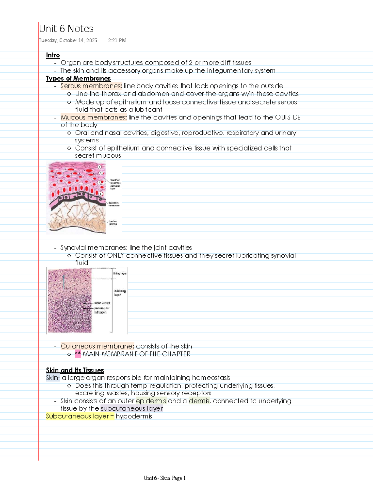 Unit 6: Comprehensive Notes on the Skin & Integumentary System - Studocu