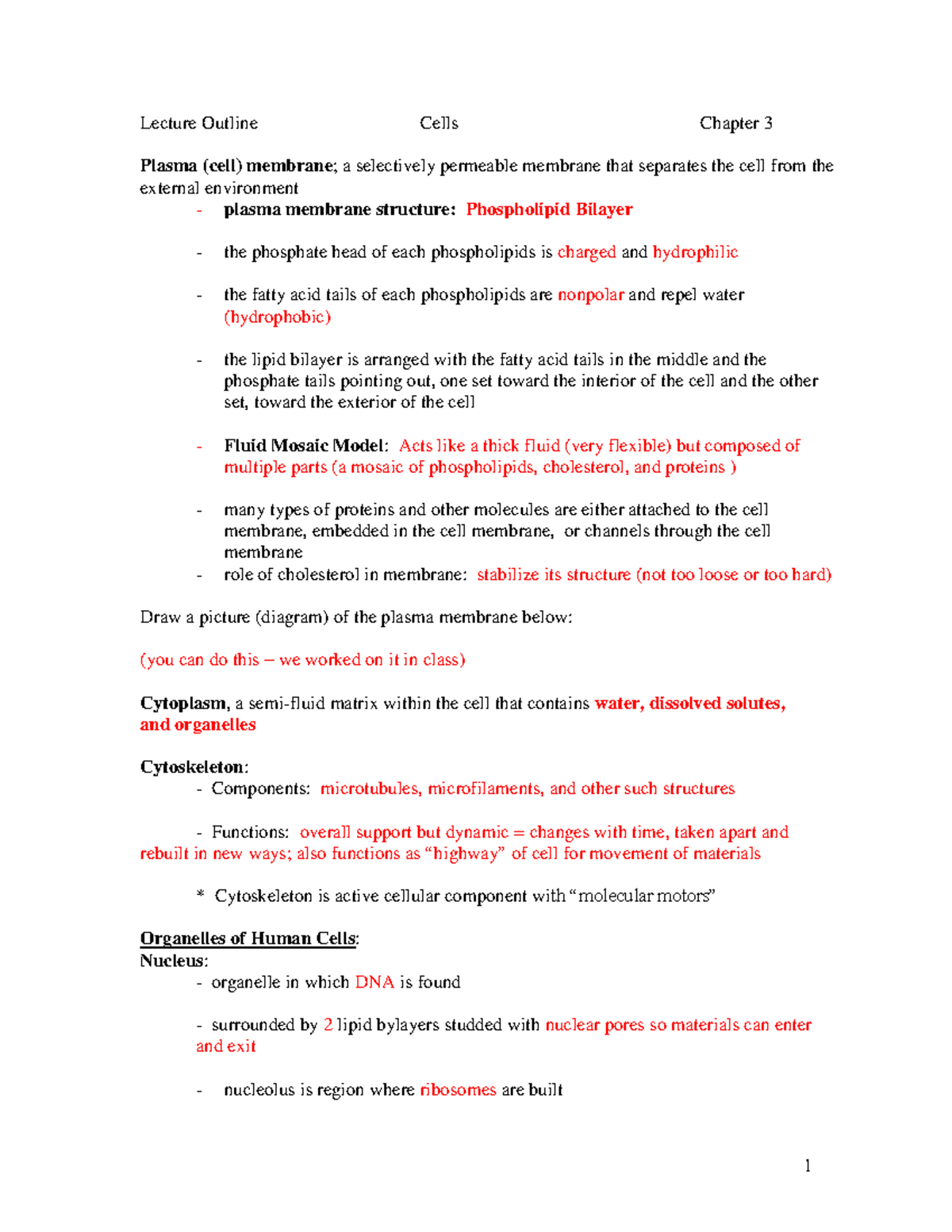 Lecture Outline Ch3cells - filled in - Lecture Outline Cells Chapter 3 ...