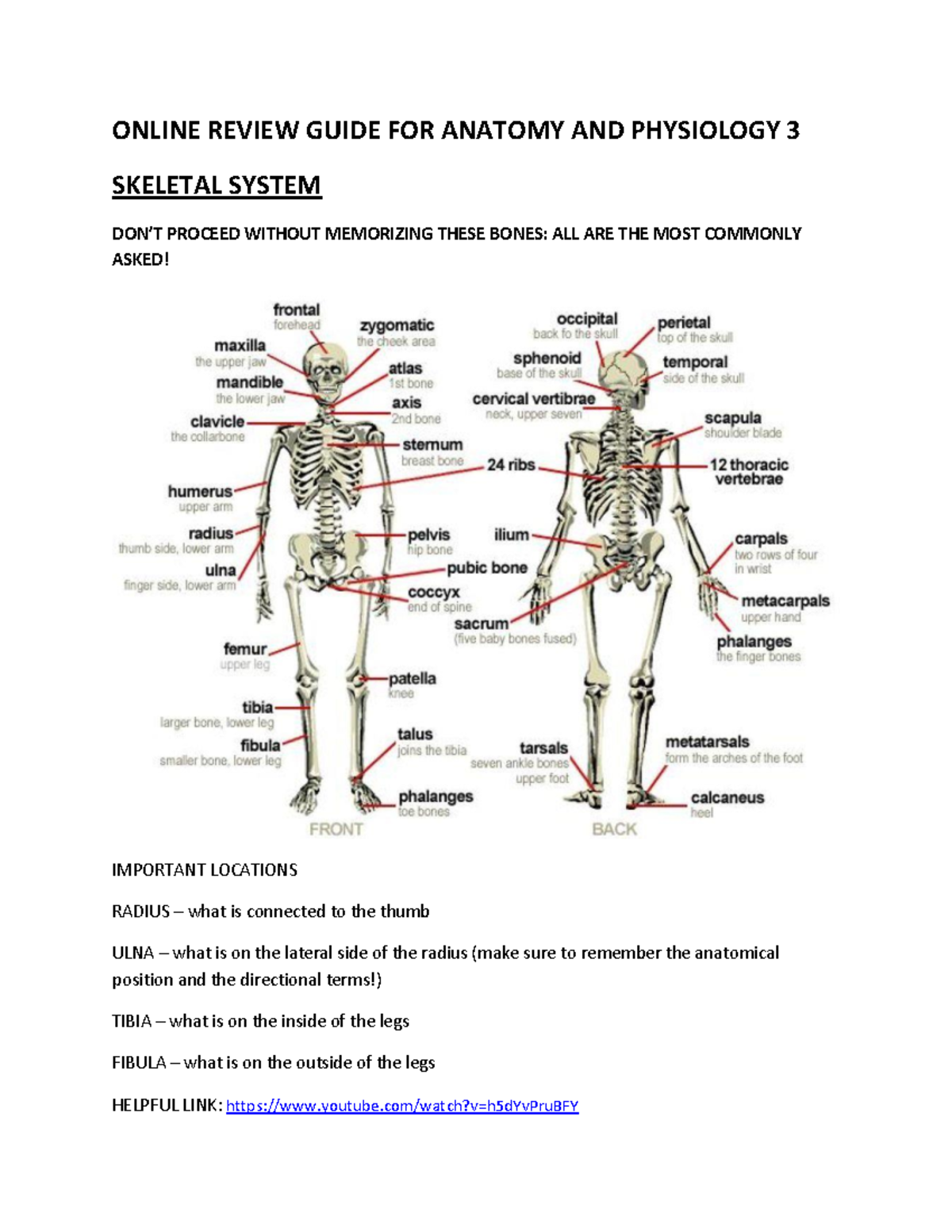 ANATOMY 3: SKELETAL SYSTEM REVIEW GUIDE & IMPORTANT BONES - Studocu