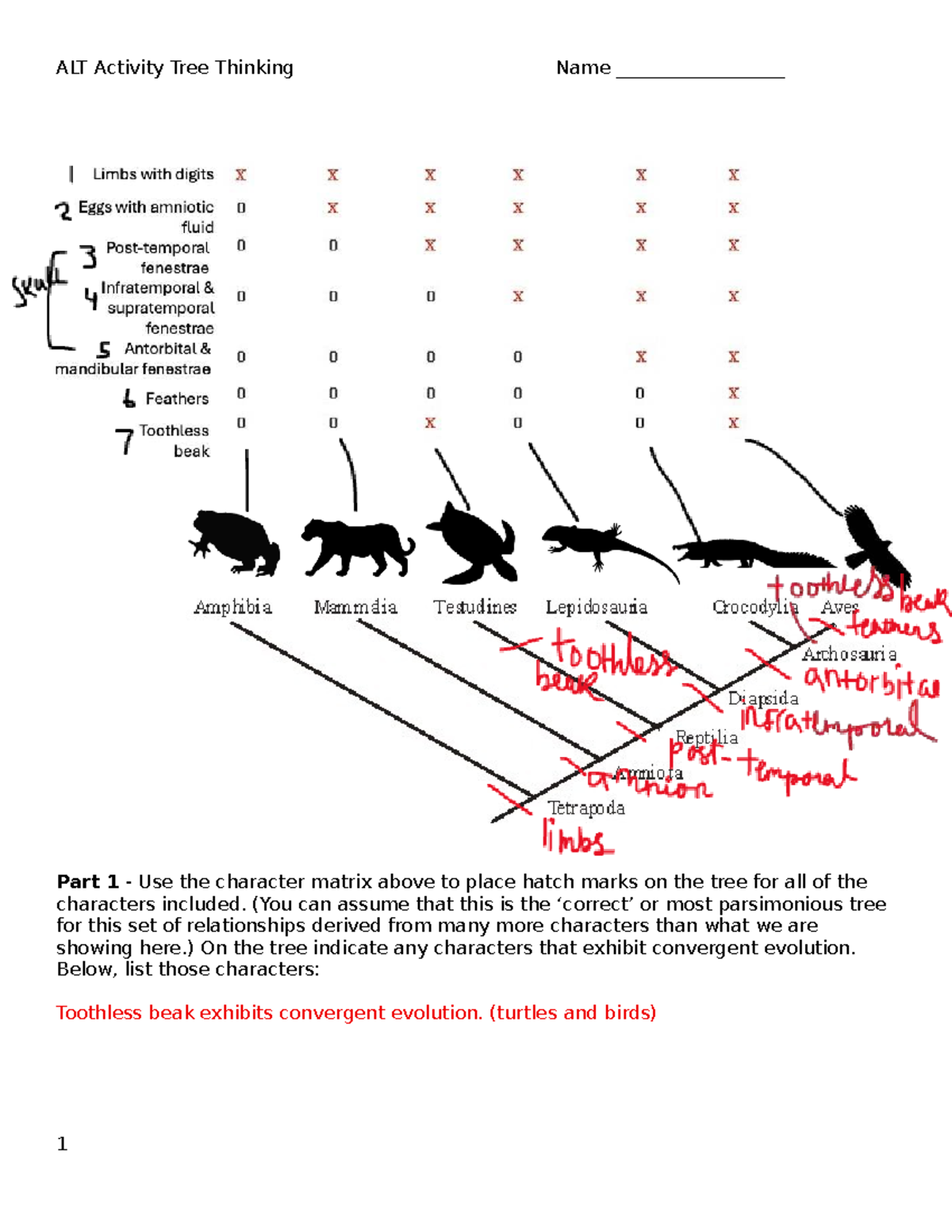 ALT Activity Tree Thinking: Phylogenetic Analysis Worksheet - Studocu