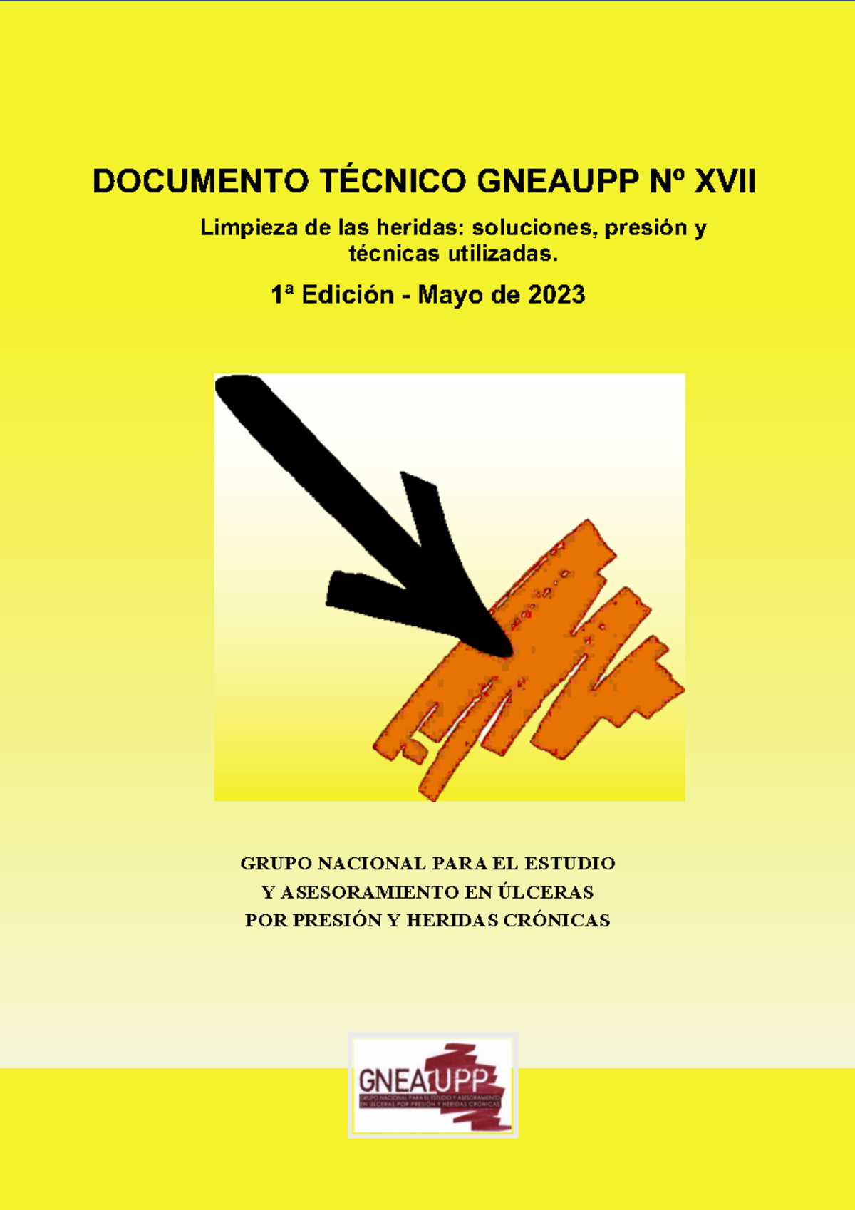 Limpieza de Heridas: Soluciones y Técnicas - Documento Técnico GNEAUPP ...