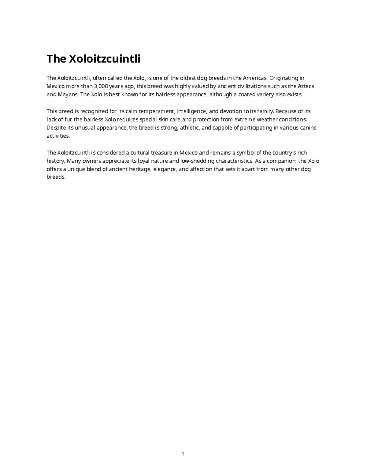 The Xoloitzcuintli: Essential Insights on This Ancient Breed - Studocu