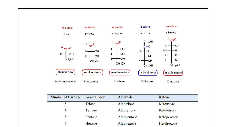 Properties of Carbohydrates: Lecture Notes (Course Code: HAND OUT 1 ...