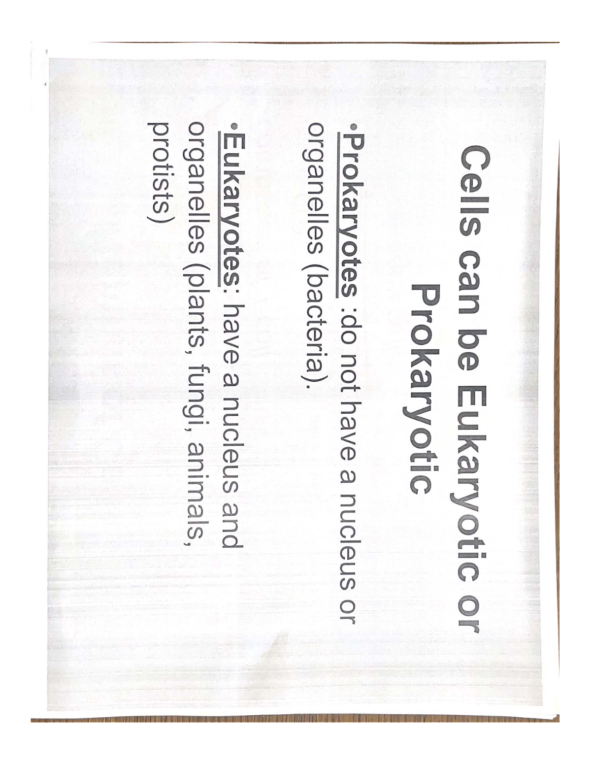 Biology 101: Eukaryotic vs Prokaryotic Cells Overview - Studocu