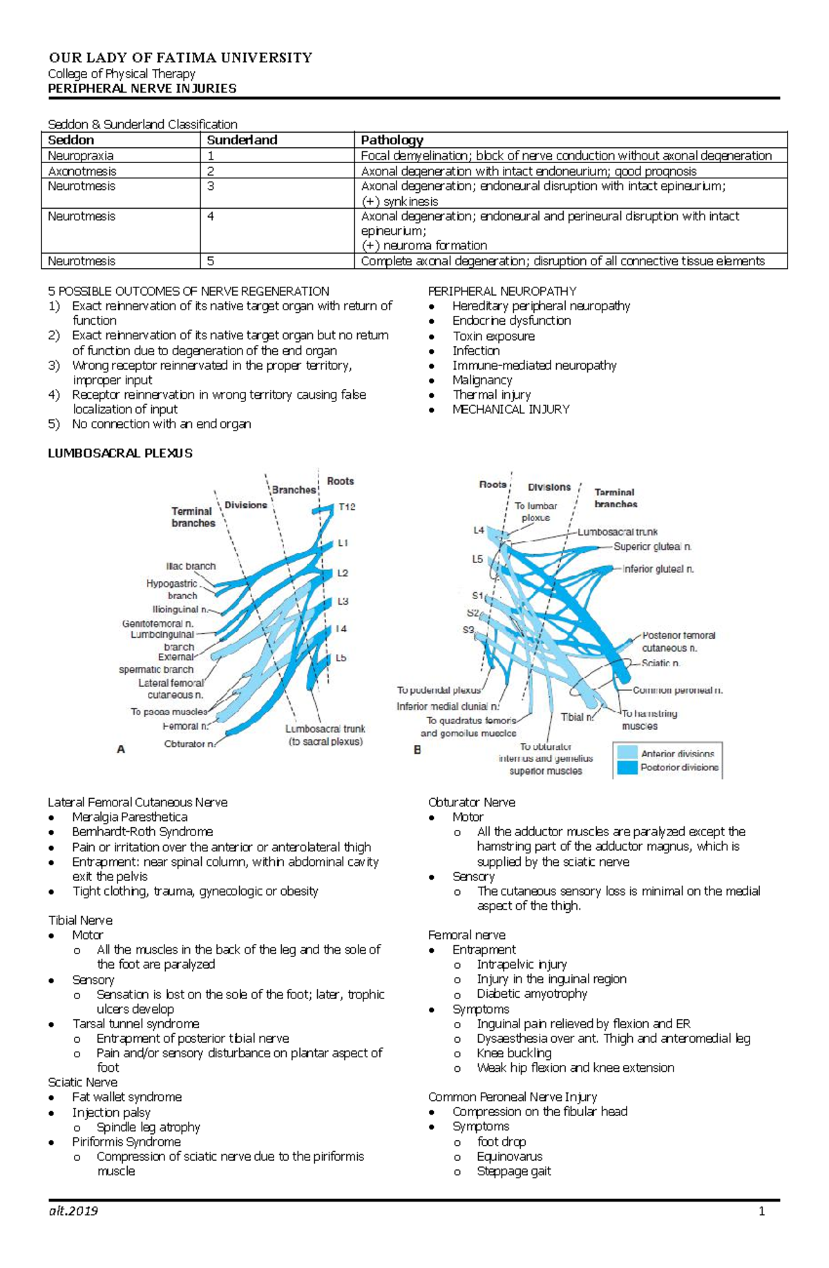 Peripheral Nerve Injuries: Seddon Sunderland Classification Notes - Studocu