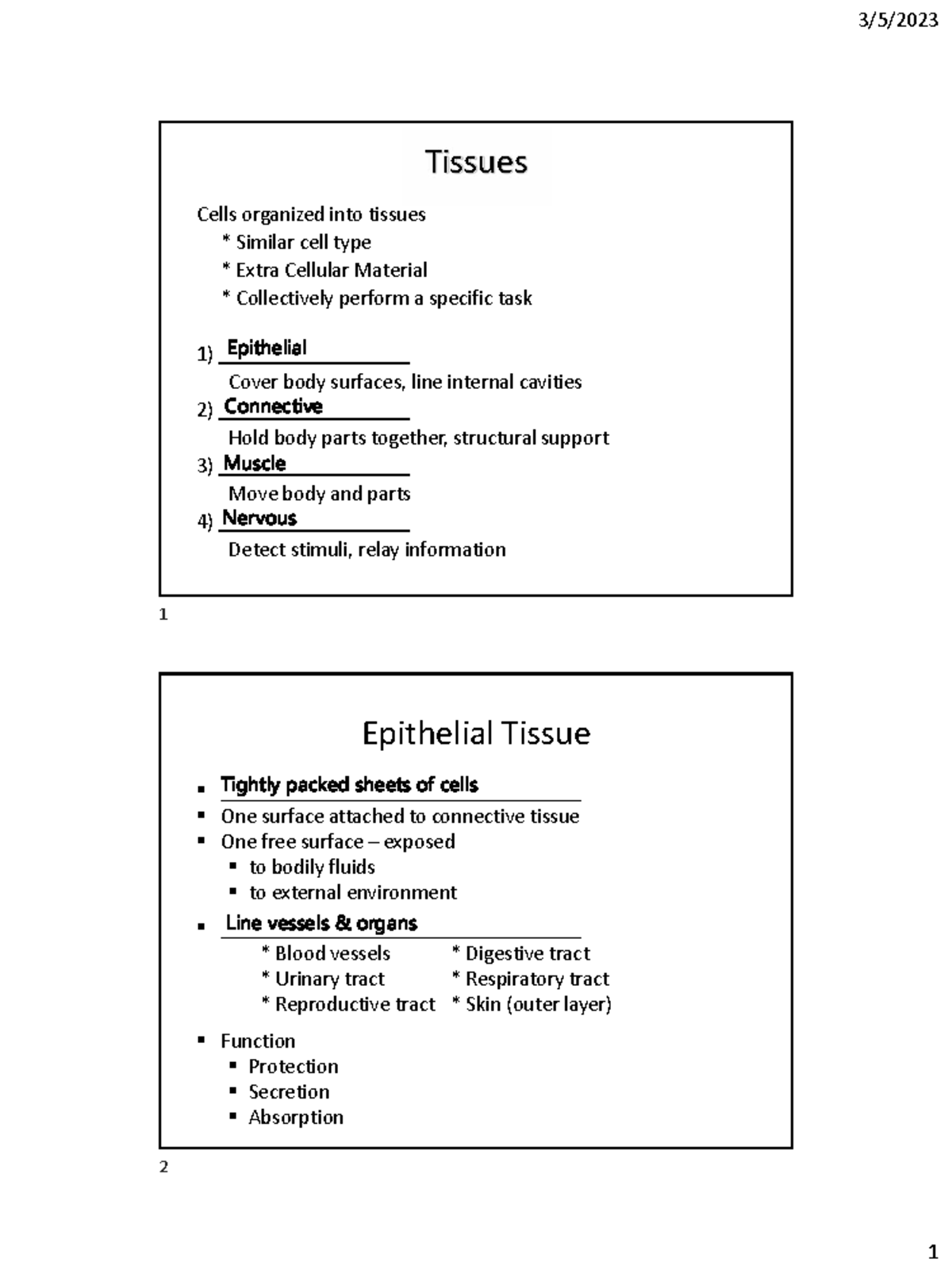 Tissues and Organ Systems Overview: Structure, Function, and Types ...