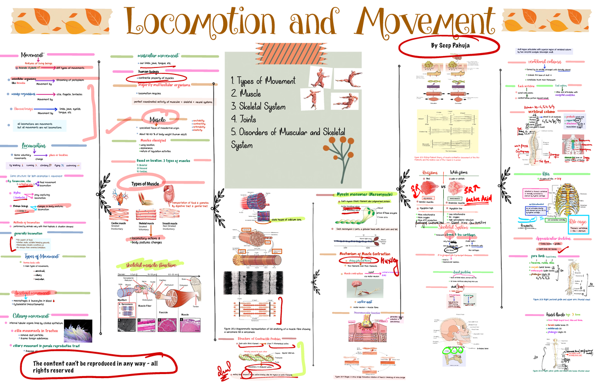 Locomotion & Movement- Micronotes - Locomotion and Movement 1. Types of ...