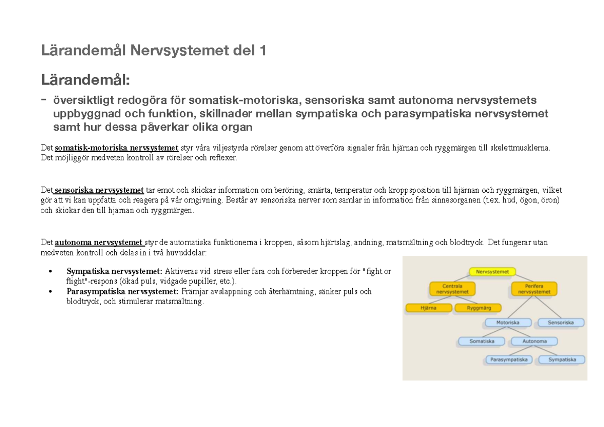 Nervsystemet 2: Översikt av sensoriska och autonoma funktioner - Studocu