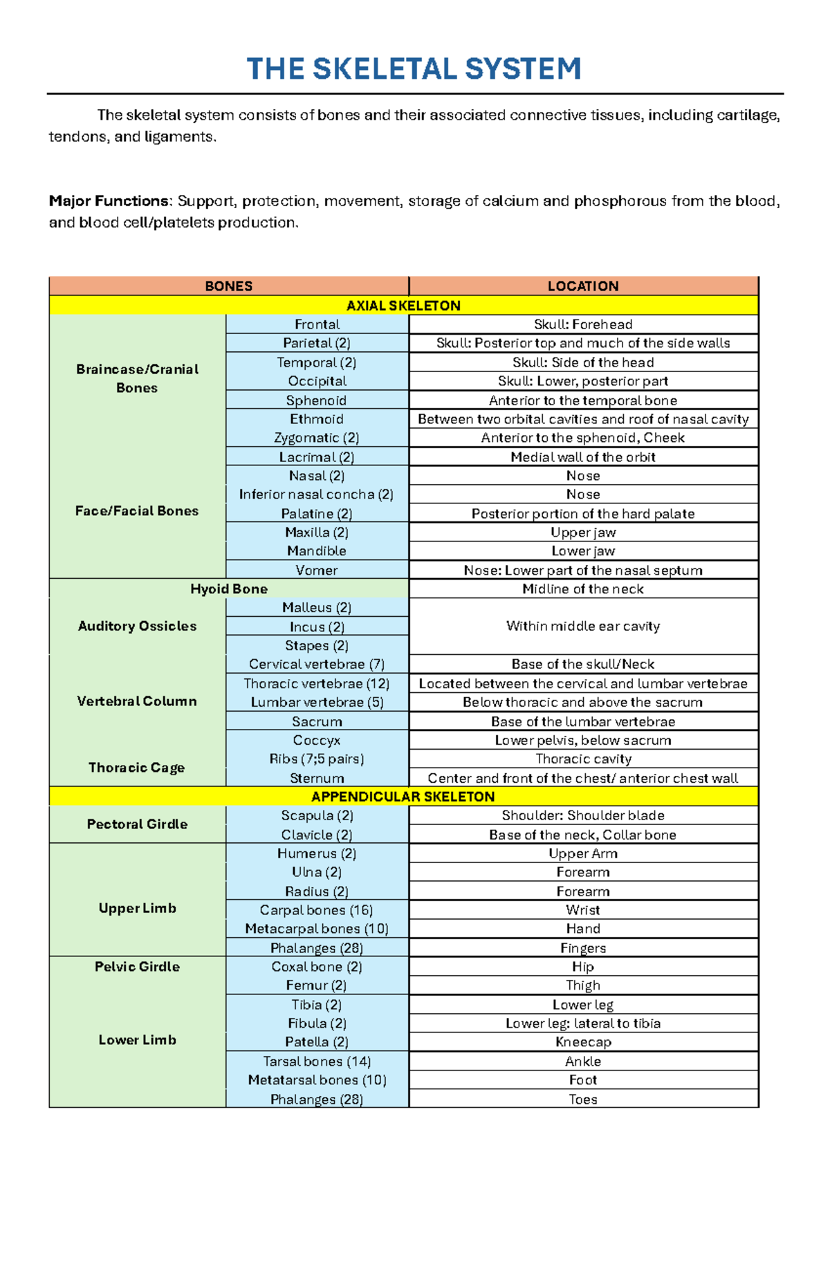 Skeletal System Overview and Bone Remodeling (BIO101) - Studocu