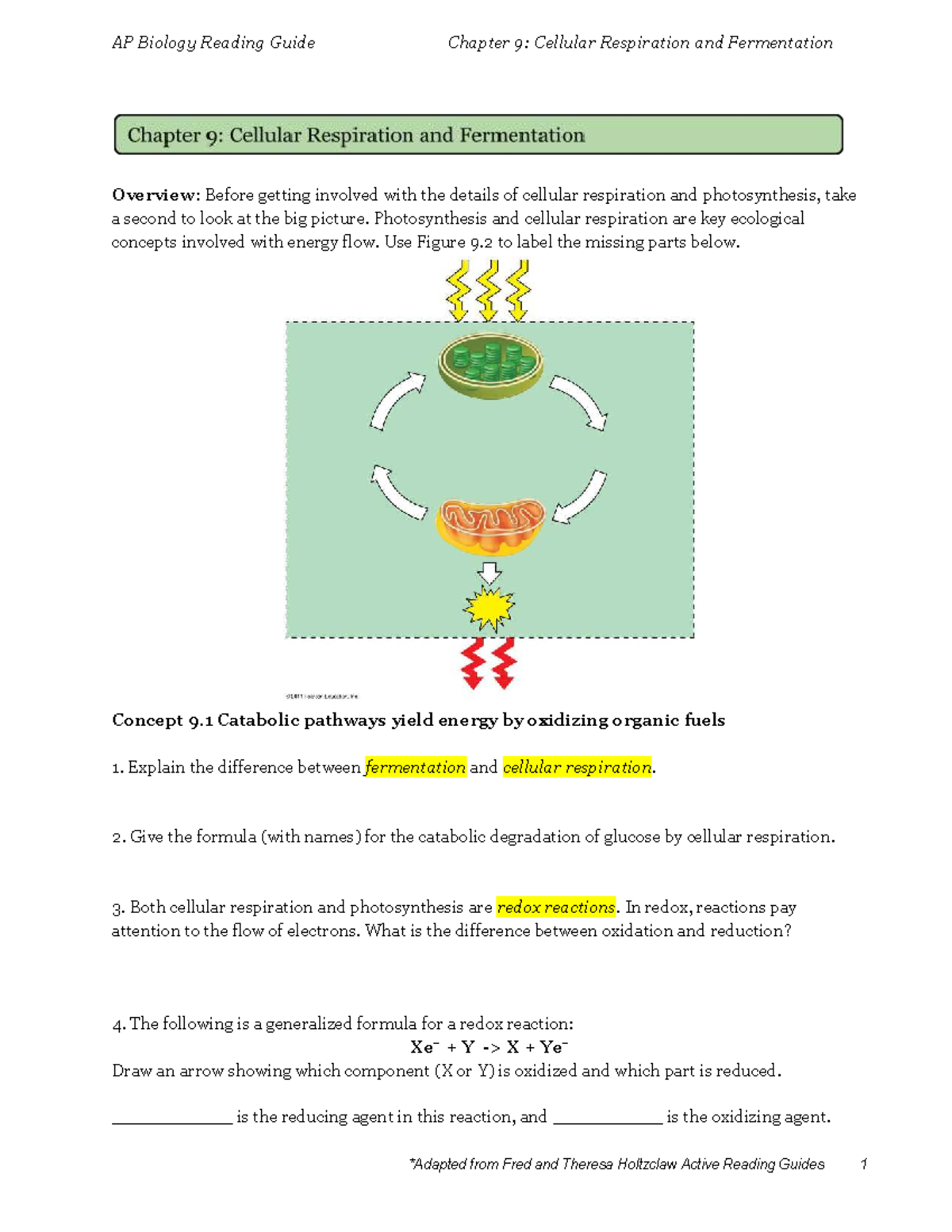 AP Biology Reading Guide: Chapter 9 - Cellular Respiration ...