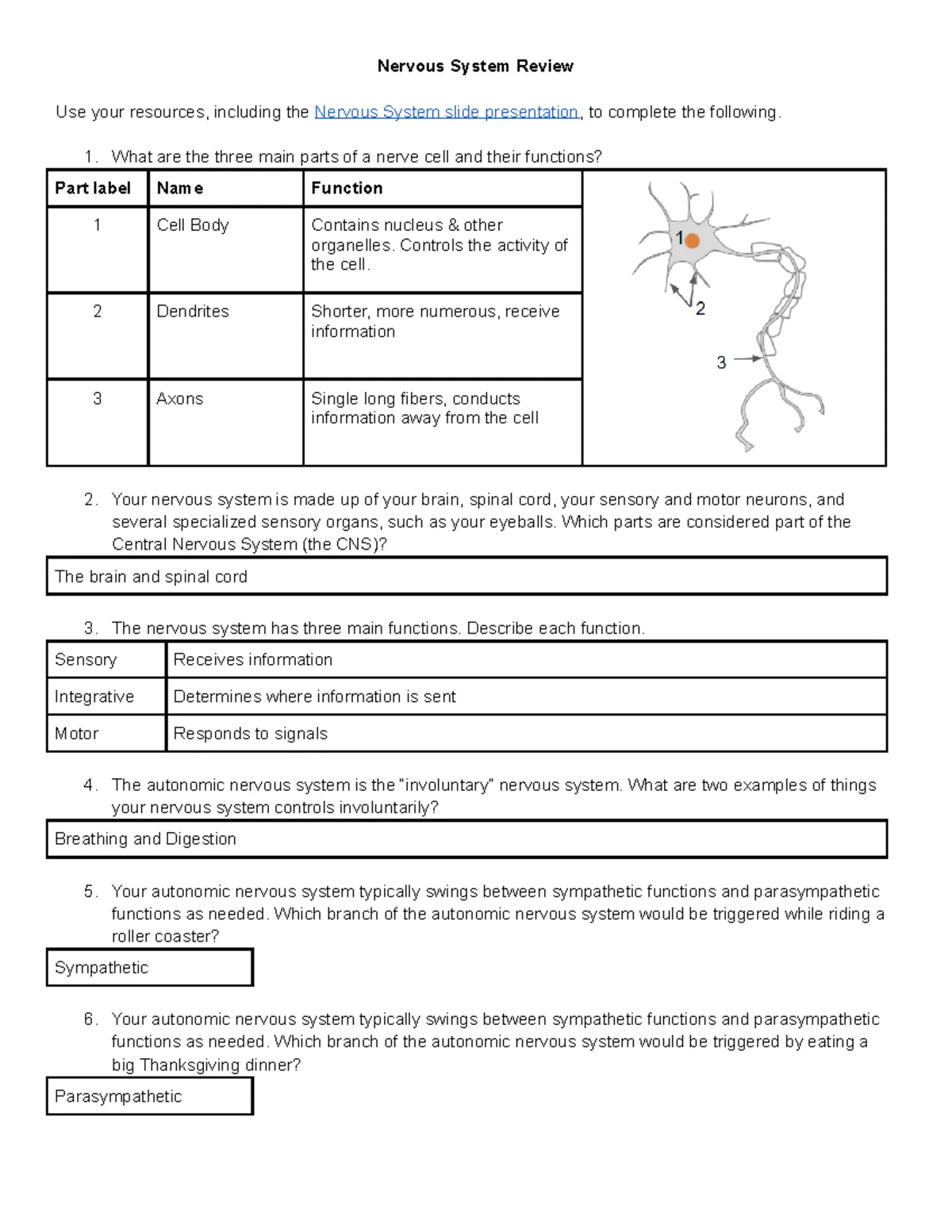 BSCI 21010: Anatomy and Physiology I - Nervous System Overview - Studocu