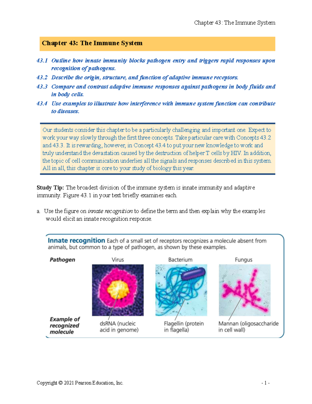 Bio12 ARG 43 - Campbell Biology Chapter 43 Immune System Study Guide ...
