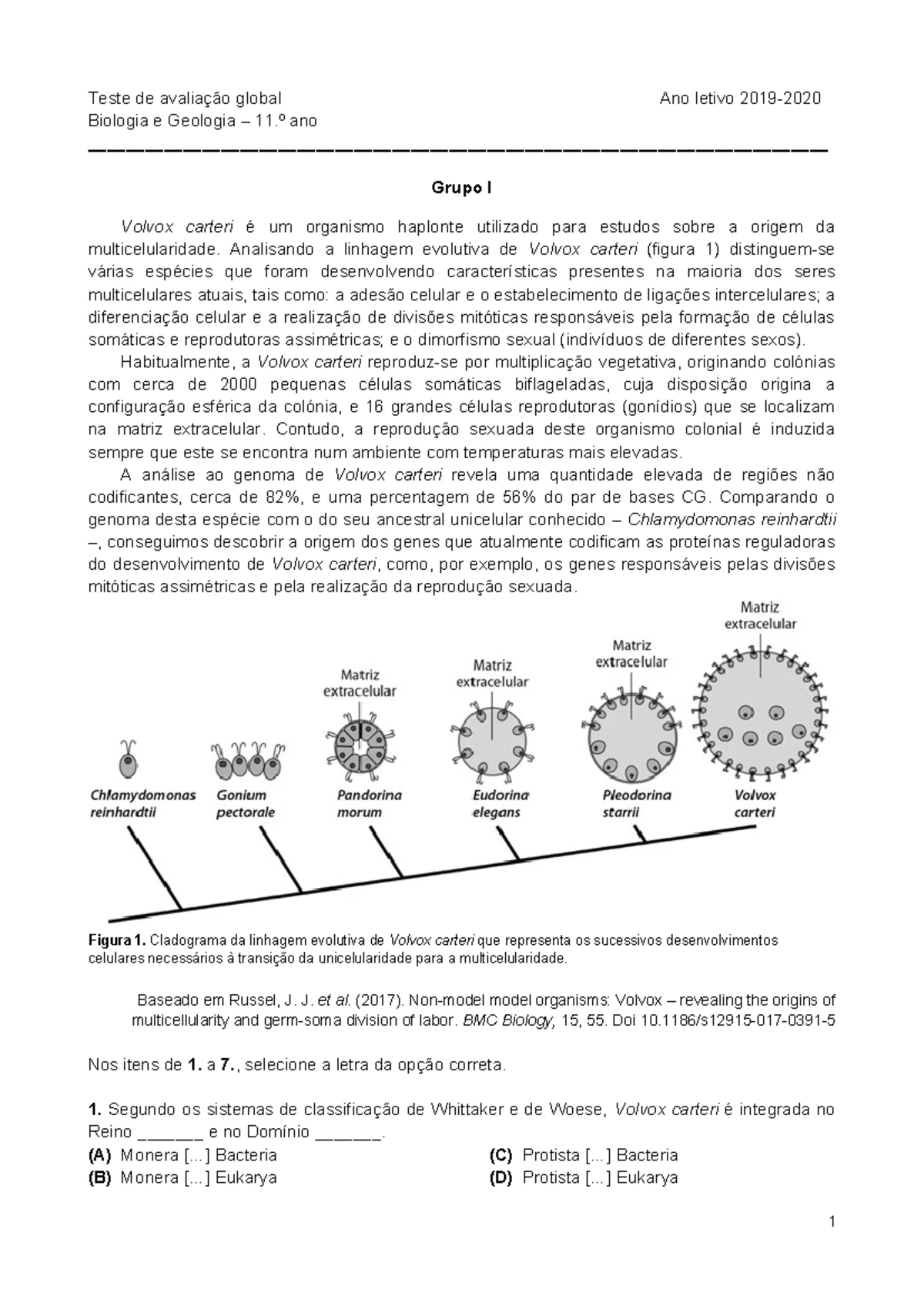 Ae bg11 rochas sedimentares - Exercícios tipo-exame Biologia e Geologia ...