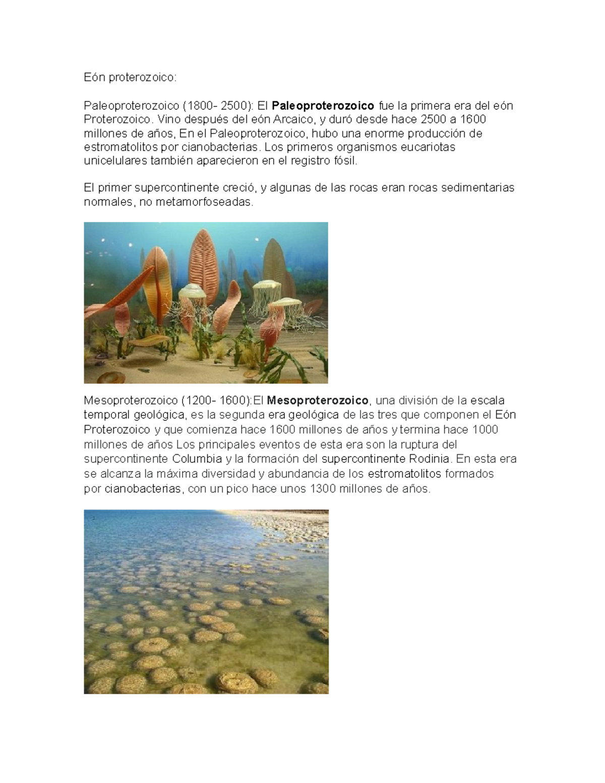 linea del tiempo a cerca del eon proterozoico - Eón proterozoico ...