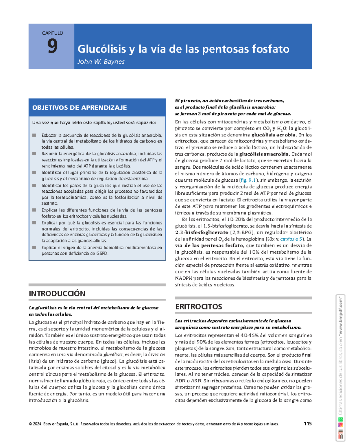 CAPÍTULO 9: Glucólisis y Vía de las Pentosas Fosfato - Notas de Estudio ...