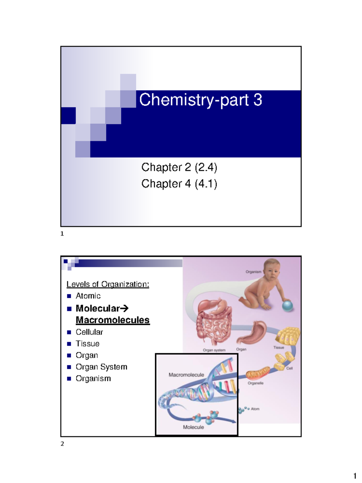 Biochemistry Overview: Carbs, Lipids, Proteins, Nucleic Acids (Chapter ...