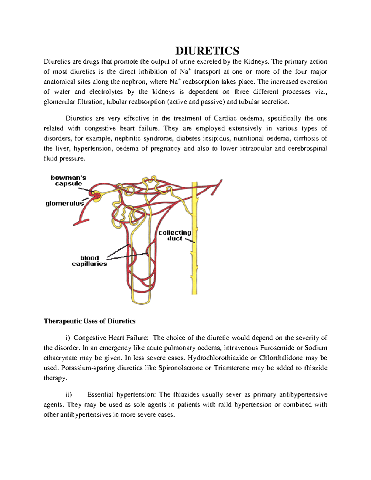 Diuretics: Mechanisms, Classifications, and Therapeutic Applications ...