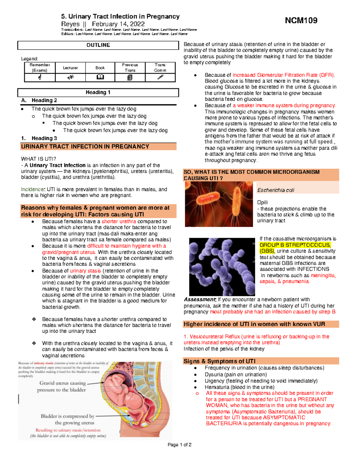 Bacteria In Urine During Pregnancy
