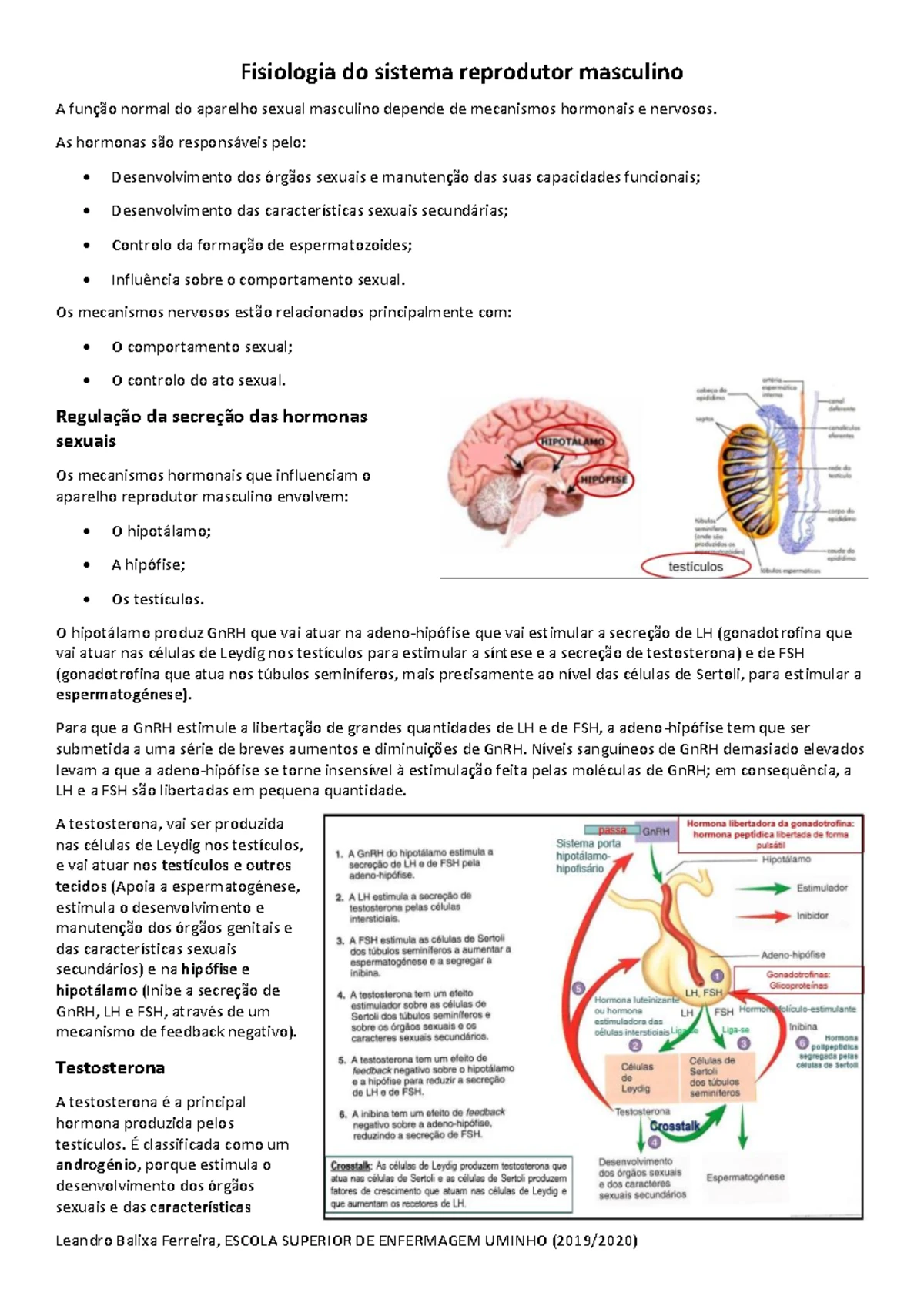 Fisiologia Guyton & Hall - Sistema Reprodutor Feminino - Warning: TT: undefined function: 32 ...